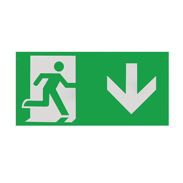 Ovia OVEMSP007D Vanex & Hanex Emergency Hanging Exit Sign Legend Down ...
